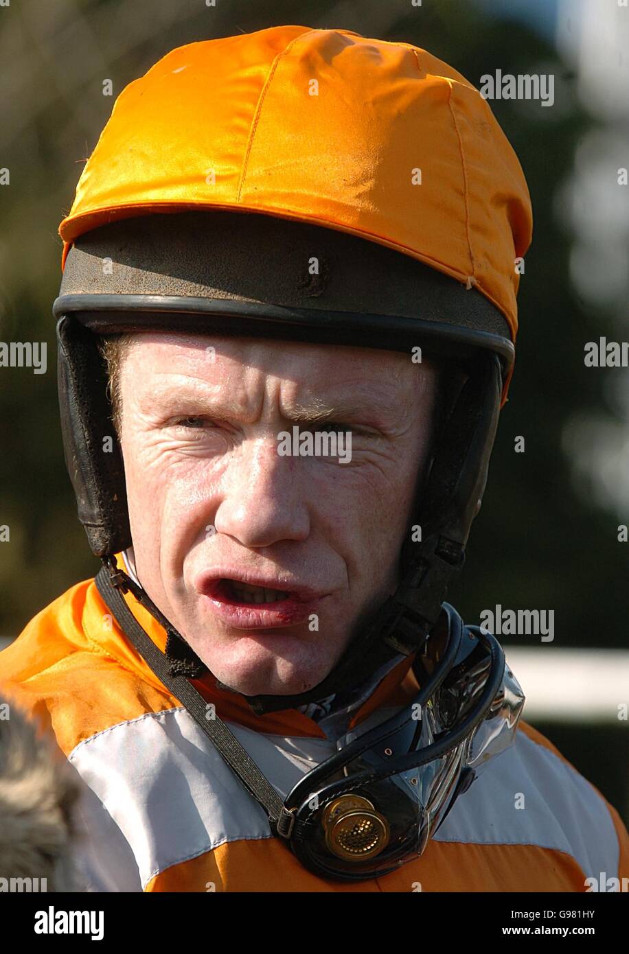 Horse Racing - Cheltenham Festival - Queen Mother Champion Chase Day ...