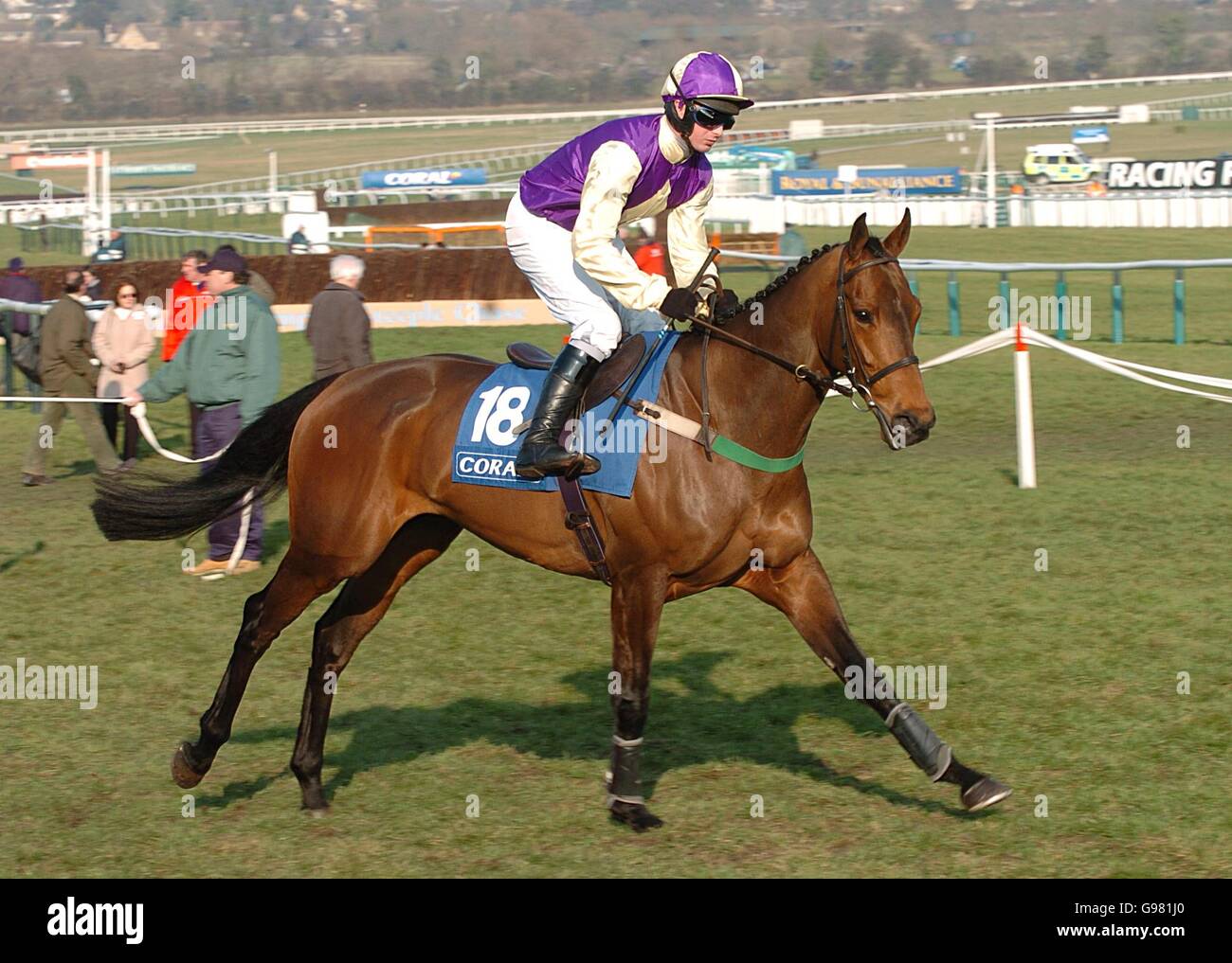 Vintage horse racing cheltenham hi-res stock photography and images - Alamy