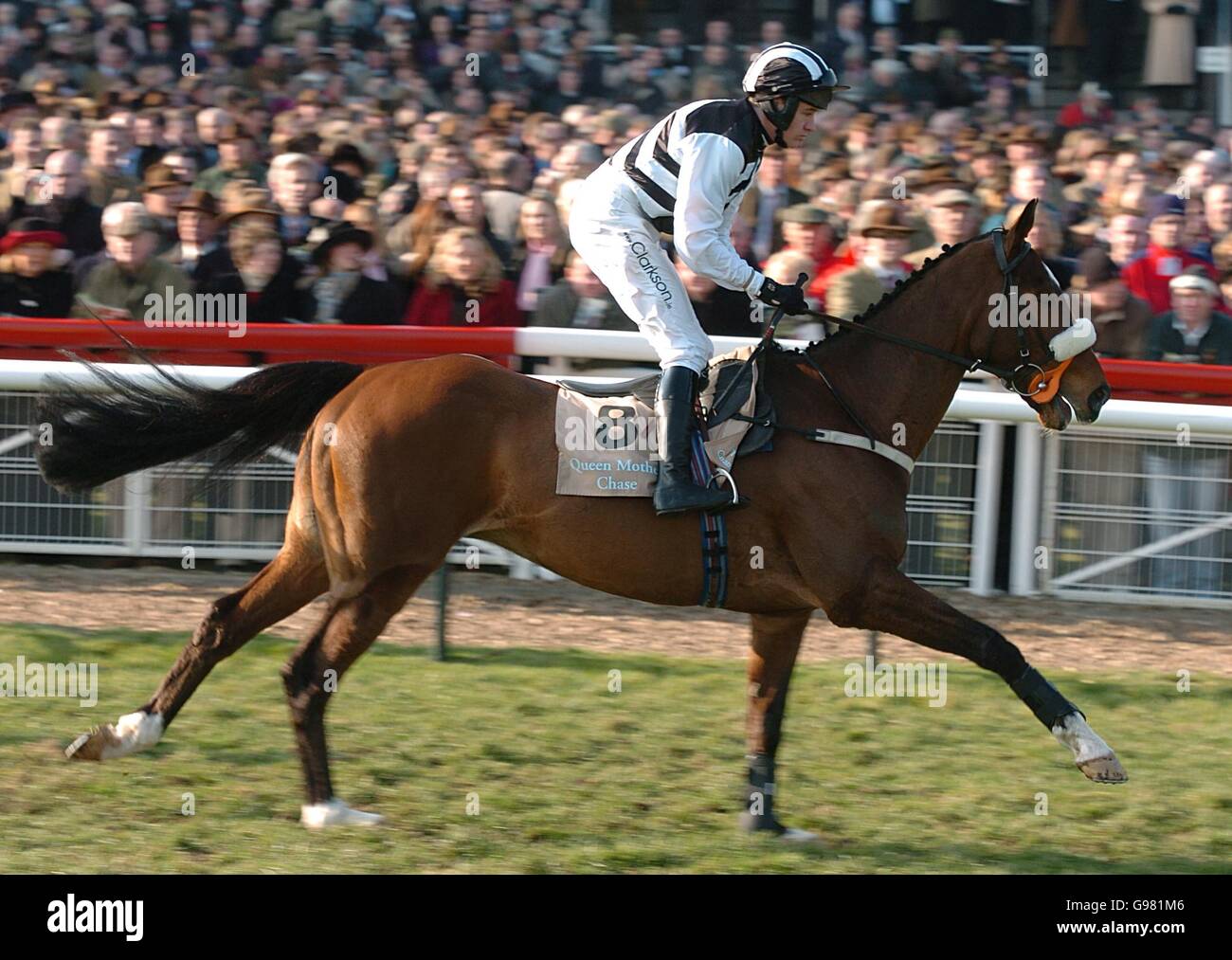 Horse Racing - Cheltenham Festival - Queen Mother Champion Chase Day ...
