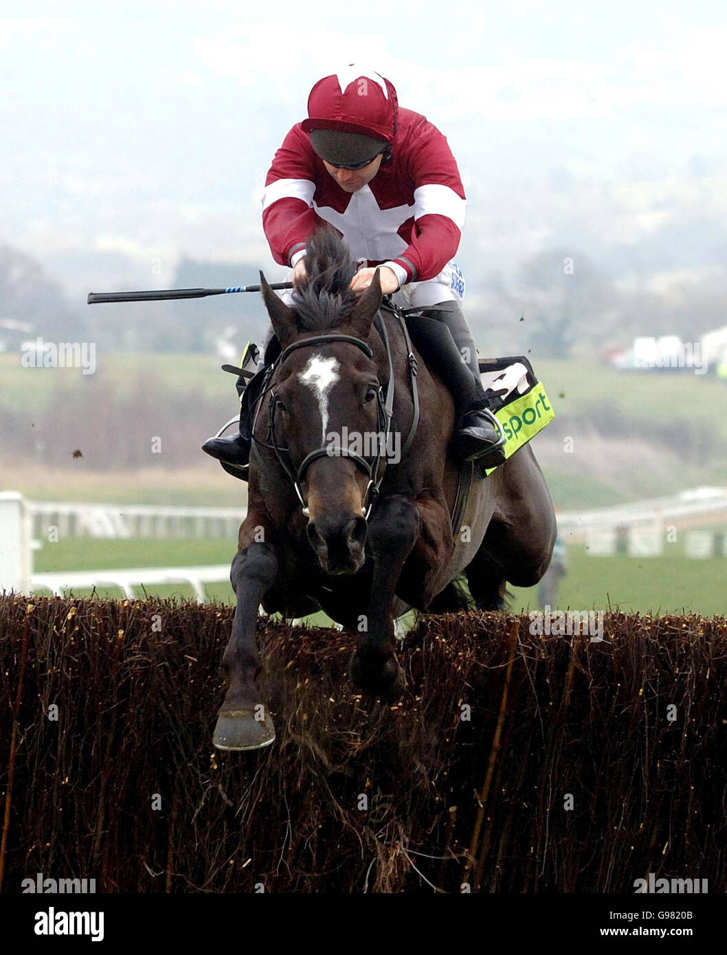 War of attrition cheltenham hi-res stock photography and images - Alamy