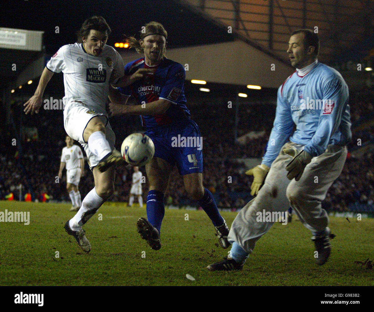 Leeds uniteds jonathan douglas crystal palaces ward gabor kiraly hi-res ...