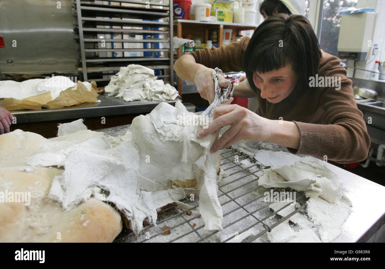 Artist Sharon Baker removes the last of the plaster cast from her life ...