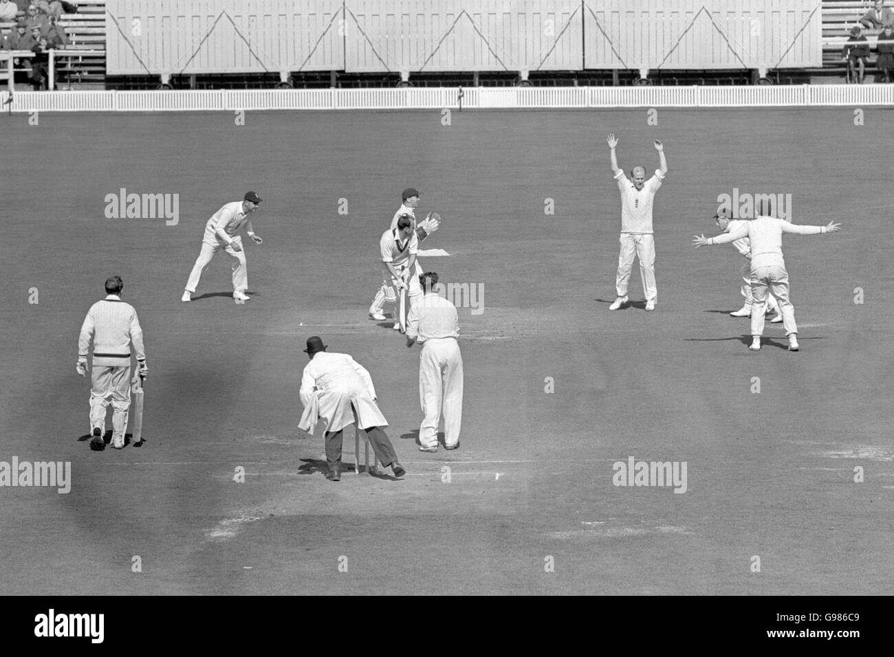 Action celebration record match catch dismissed black and white hi-res ...