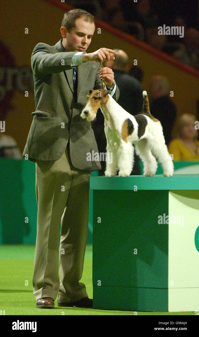 Handler Andrew Goosell with Terrier named Payback from Swansea, who ...