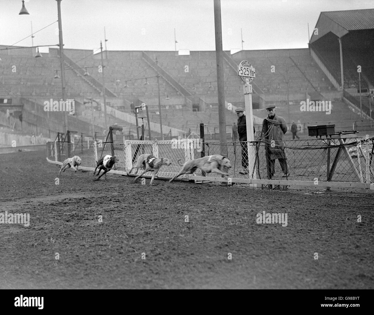 Greyhound Racing - Wembley Stadium Stock Photo - Alamy