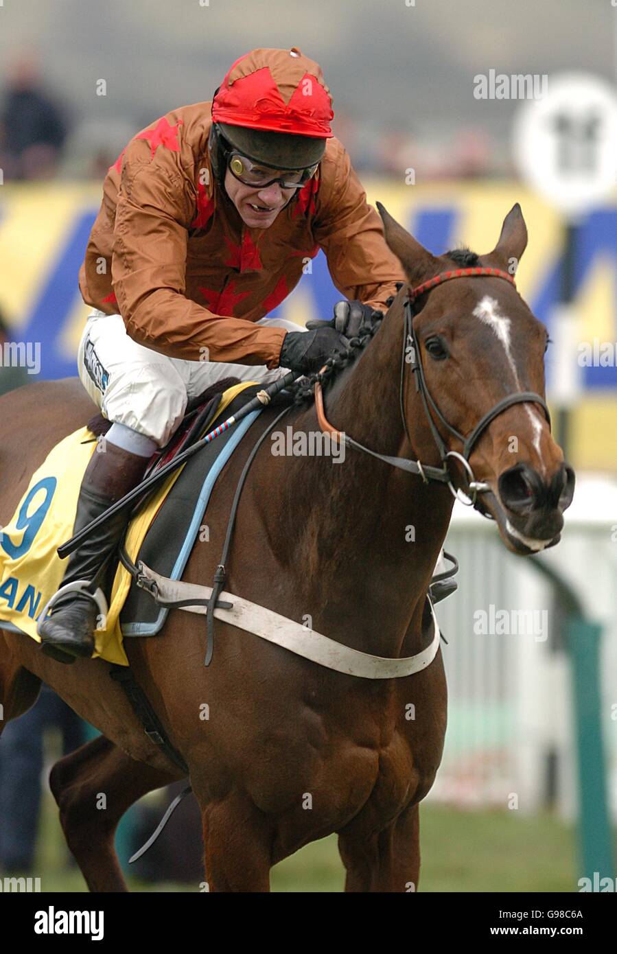 Race winner Montfort ridden by Mick Fitzgerald in The Ryanair Steeple ...