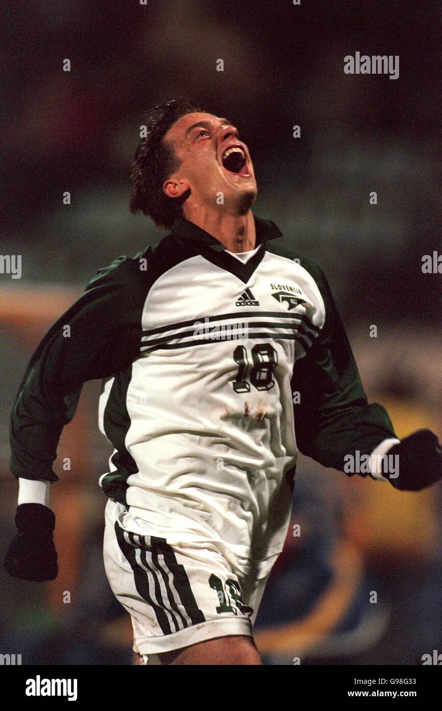 Slovenias milenko acimovic celebrates his incredible late winning goal ...