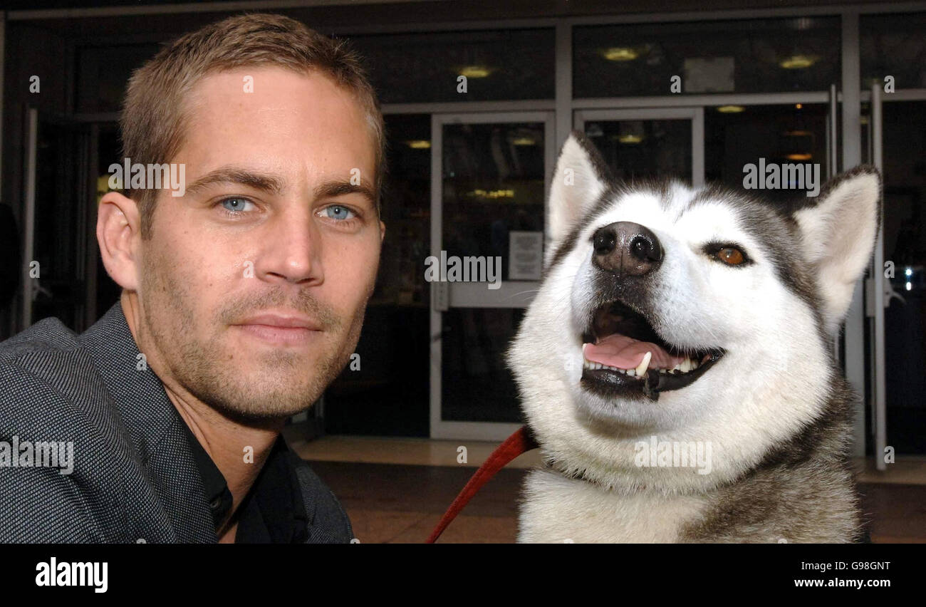 Paul walker dog eight below hi-res stock photography and images - Alamy