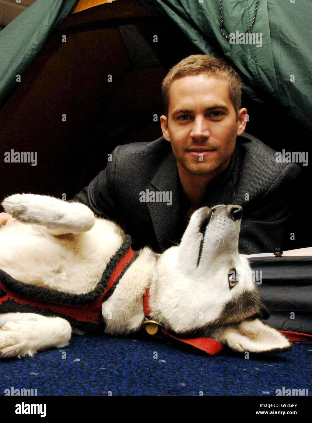 Paul Walker With Huskies