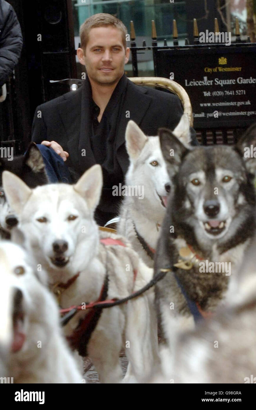 Eight Below Dogs Breed
