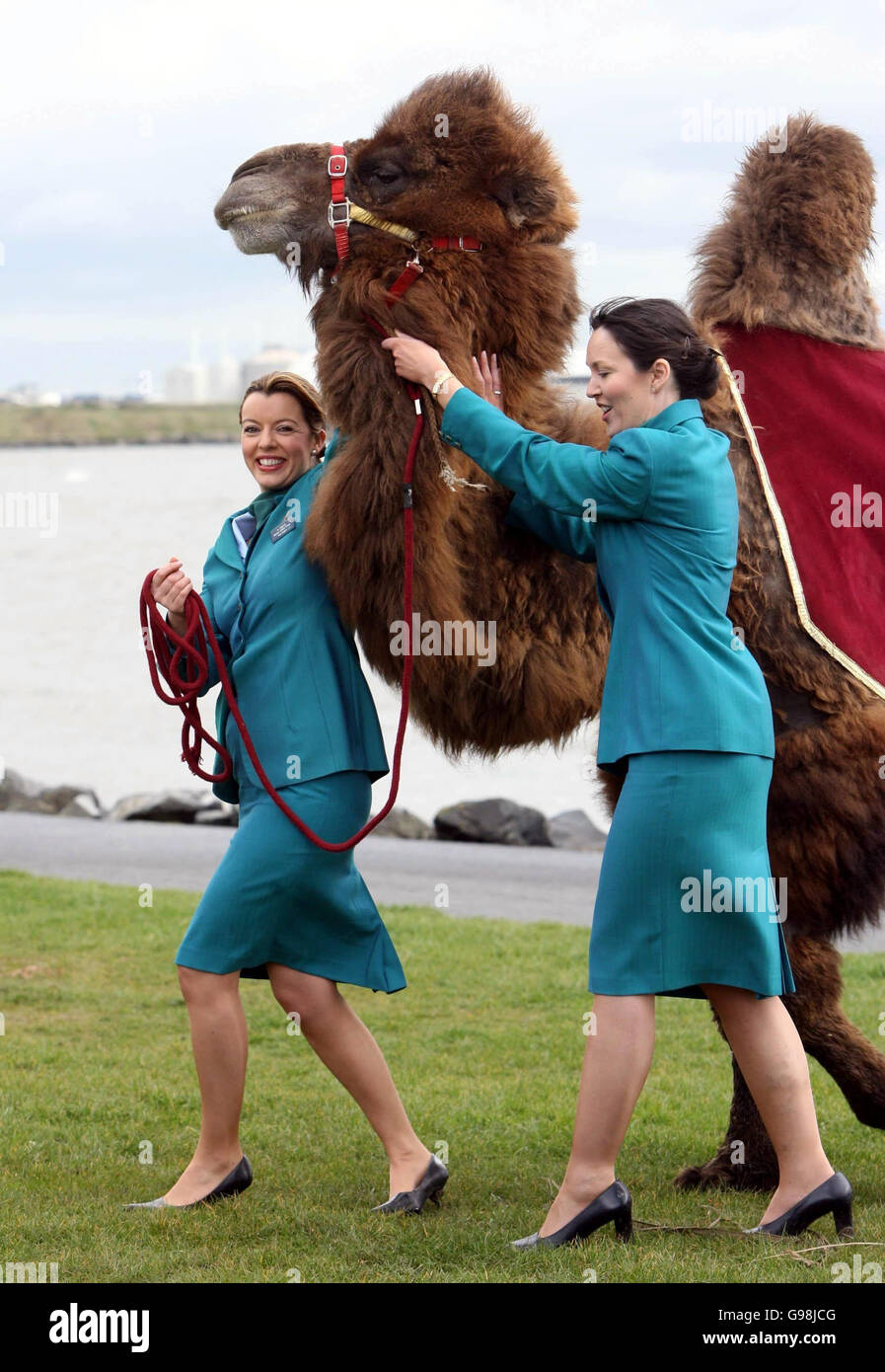 Aer lingus cabin crew members from left hi-res stock photography and ...