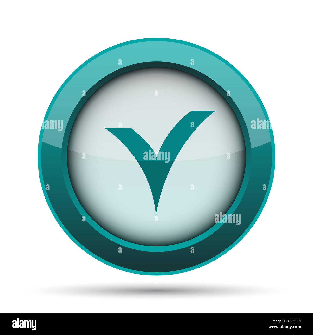 V checked icon. Internet button on white background Stock Photo - Alamy