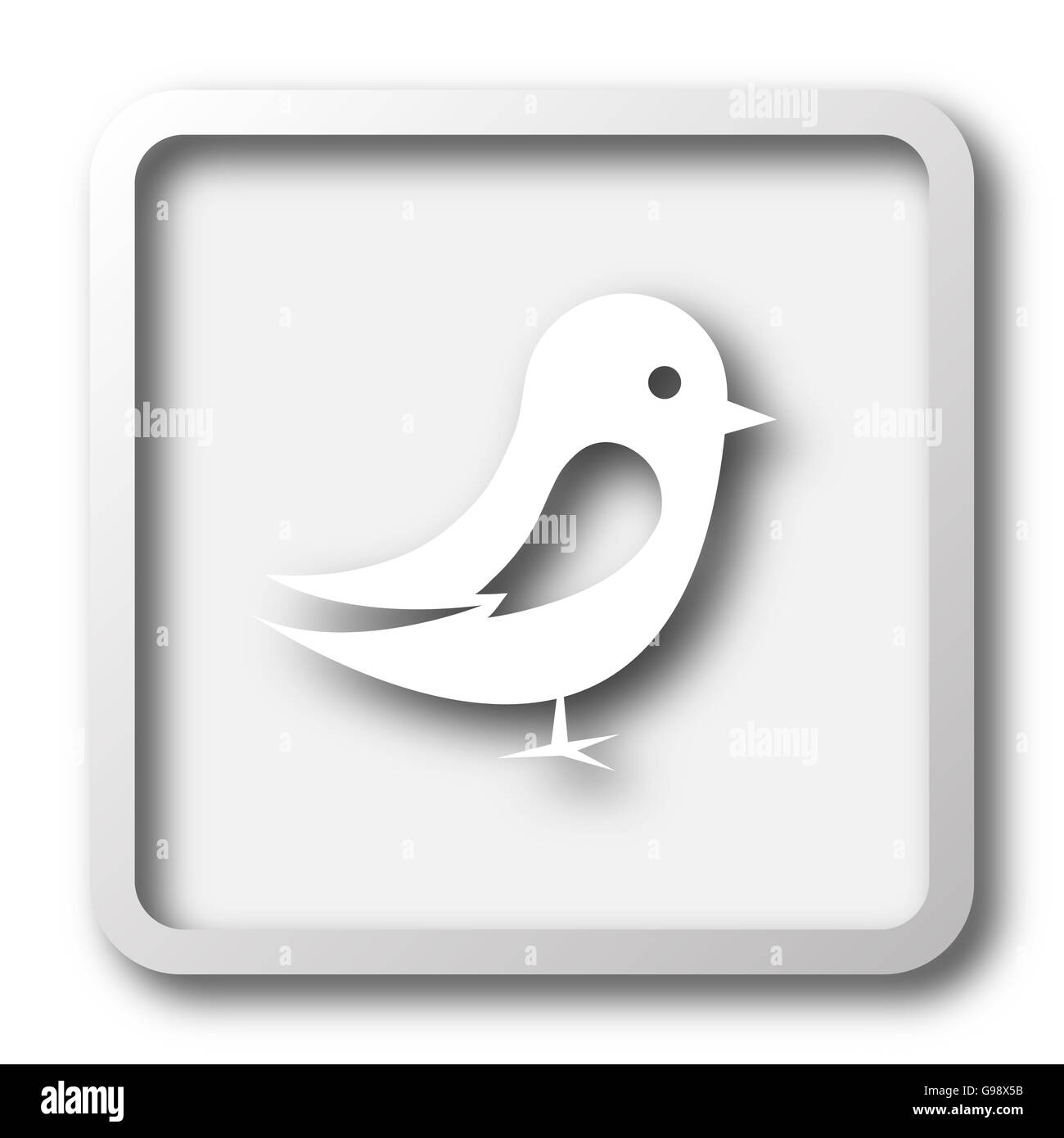 Bird icon. Internet button on white background Stock Photo - Alamy
