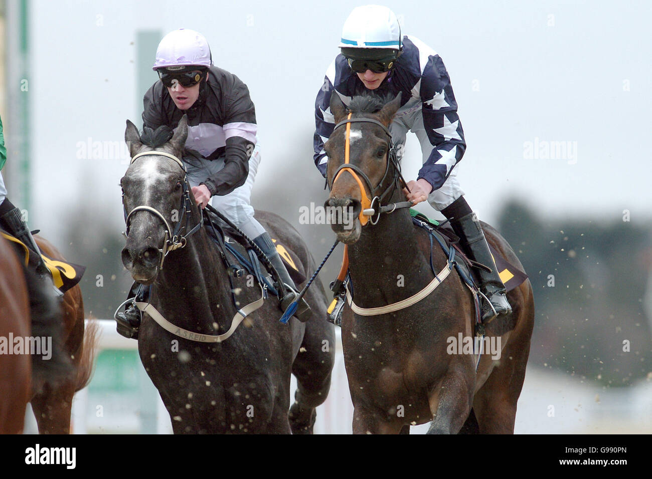 Horse floodlit all weather track detail hi-res stock photography and ...