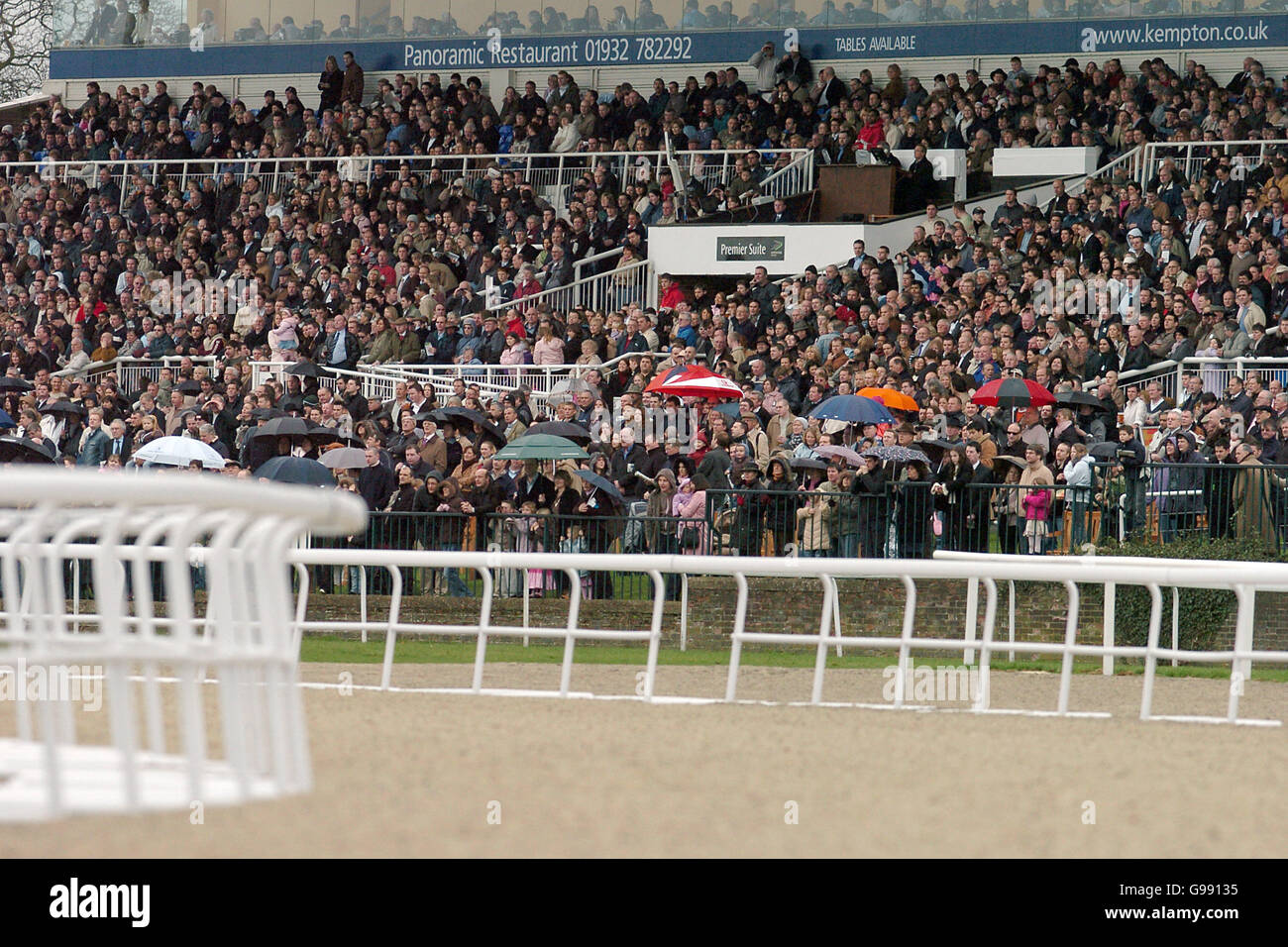 Horse floodlit all weather track racegoers spectators gv panoramic ...