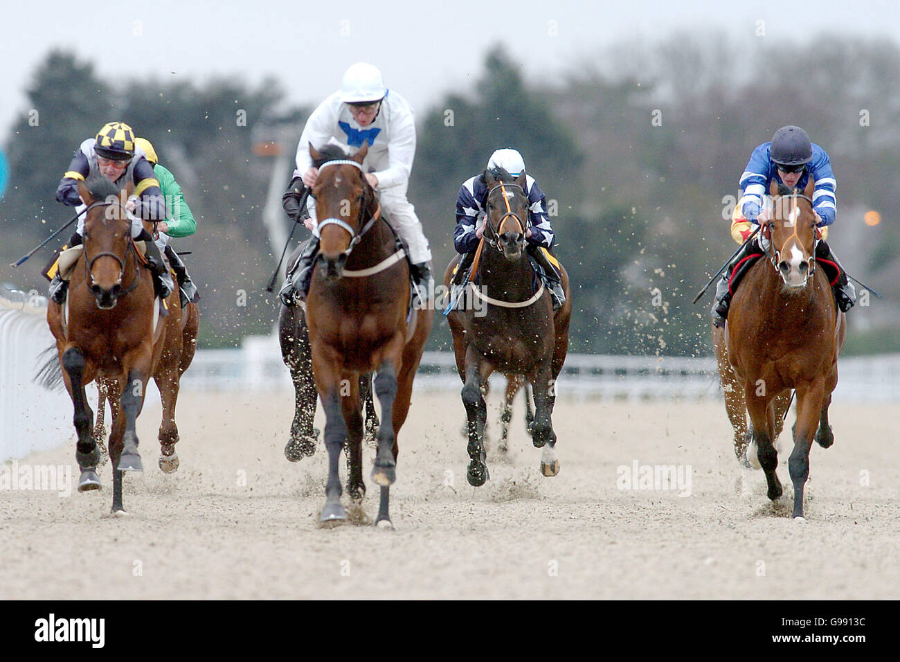 Horse Racing - Kempton Park. A general view of the action at the new ...