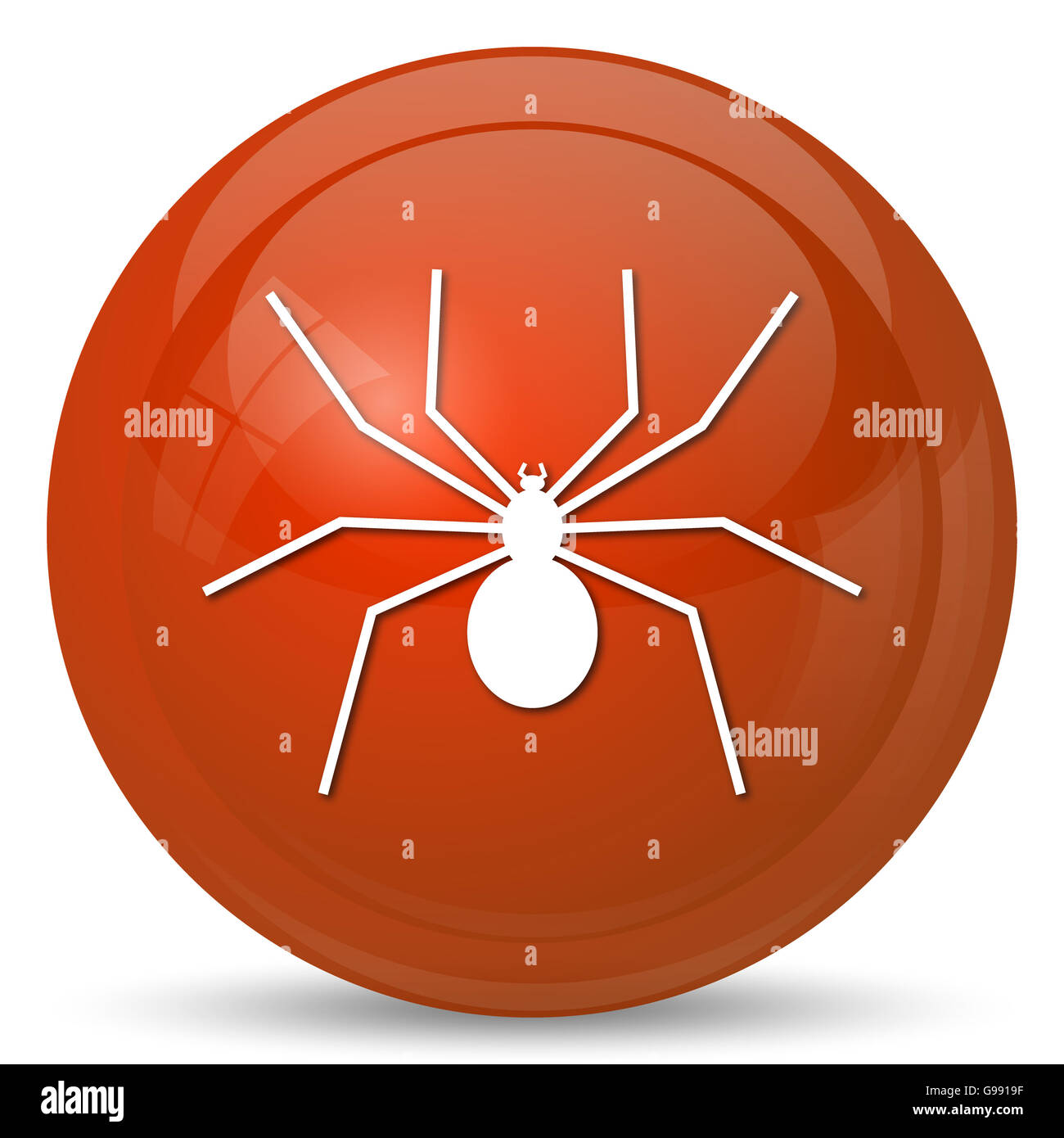 Spider icon. Internet button on white background Stock Photo - Alamy