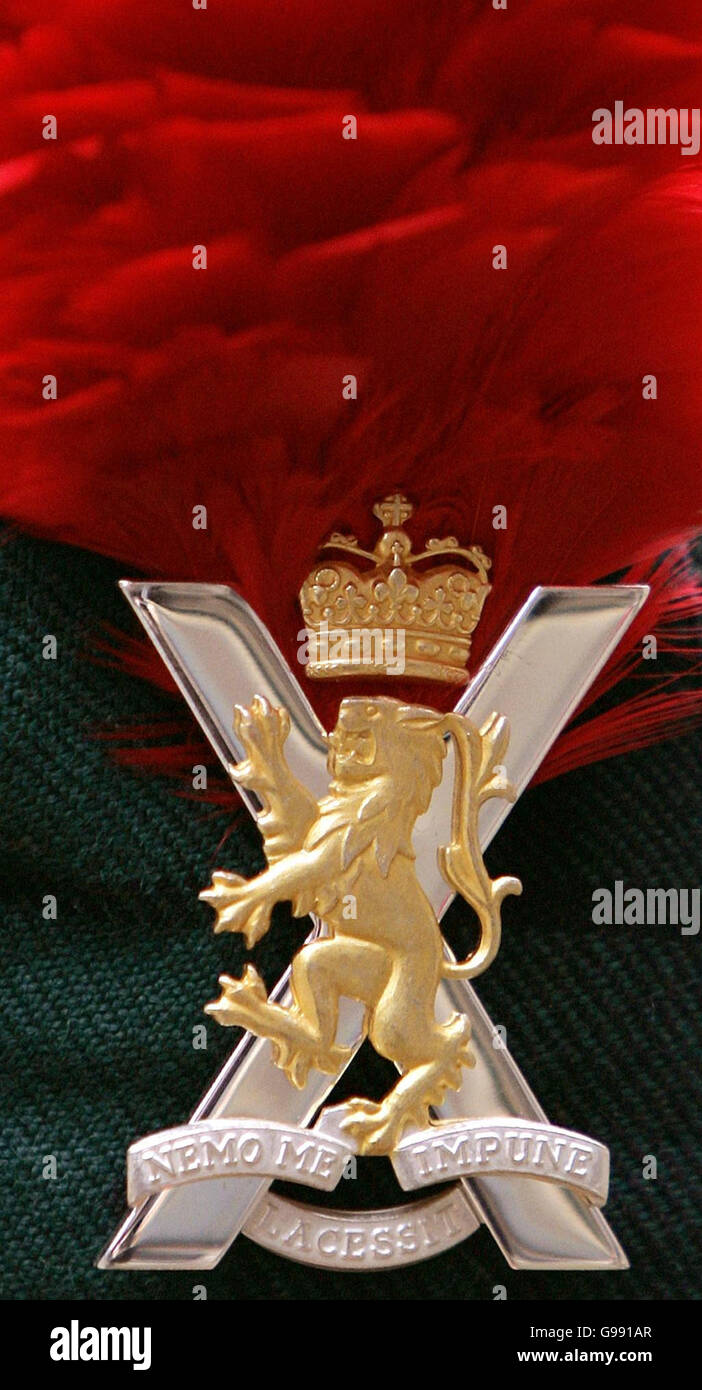 Royal regiment of scotland badge hi-res stock photography and images ...