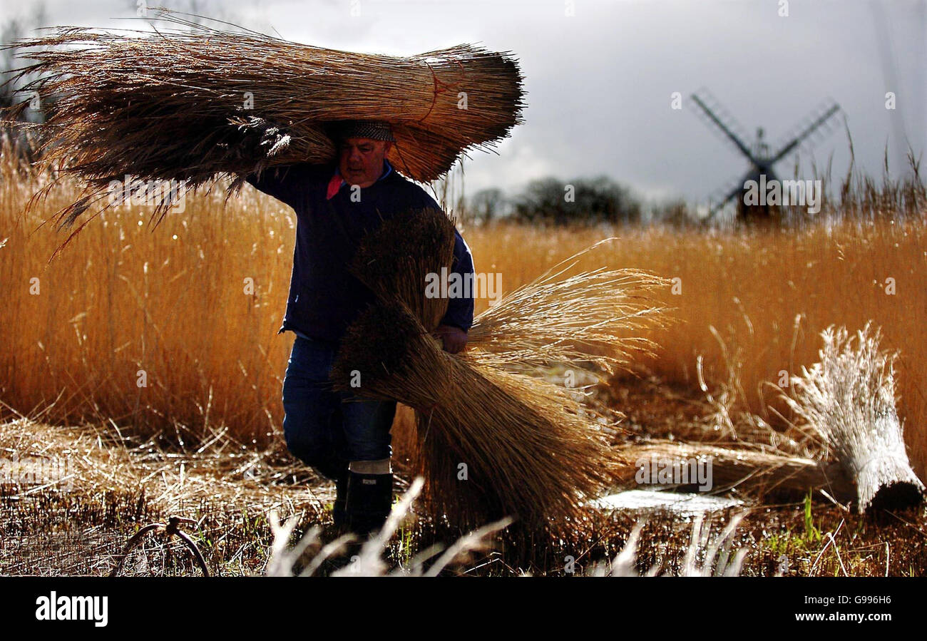 Broads authority hi-res stock photography and images - Alamy