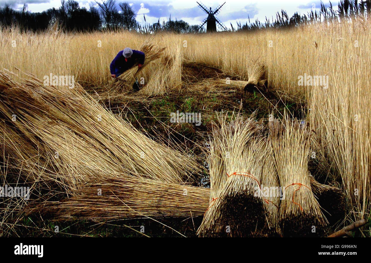 Turf cutter hi-res stock photography and images - Alamy