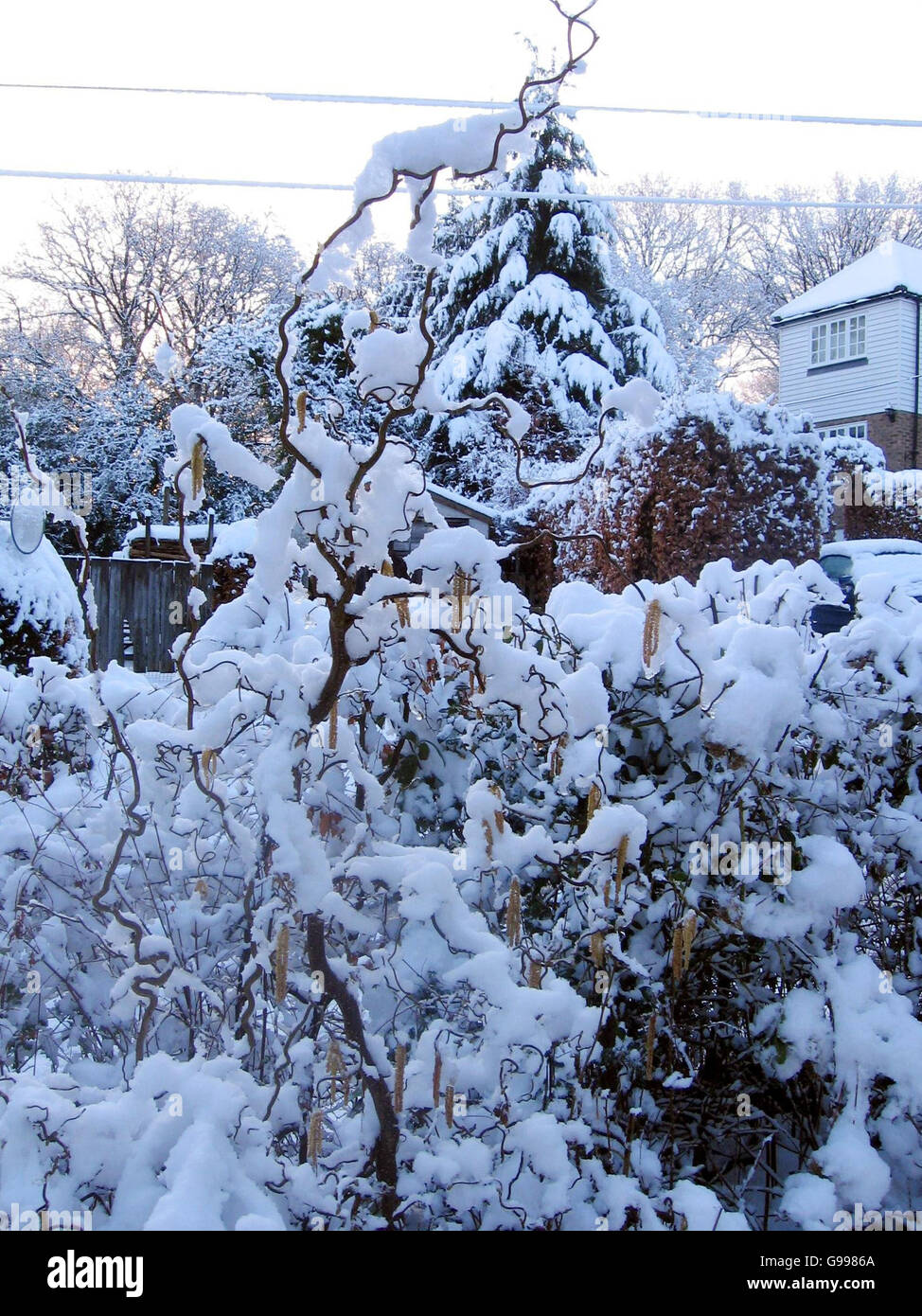Ashdown forest snow hi-res stock photography and images - Alamy