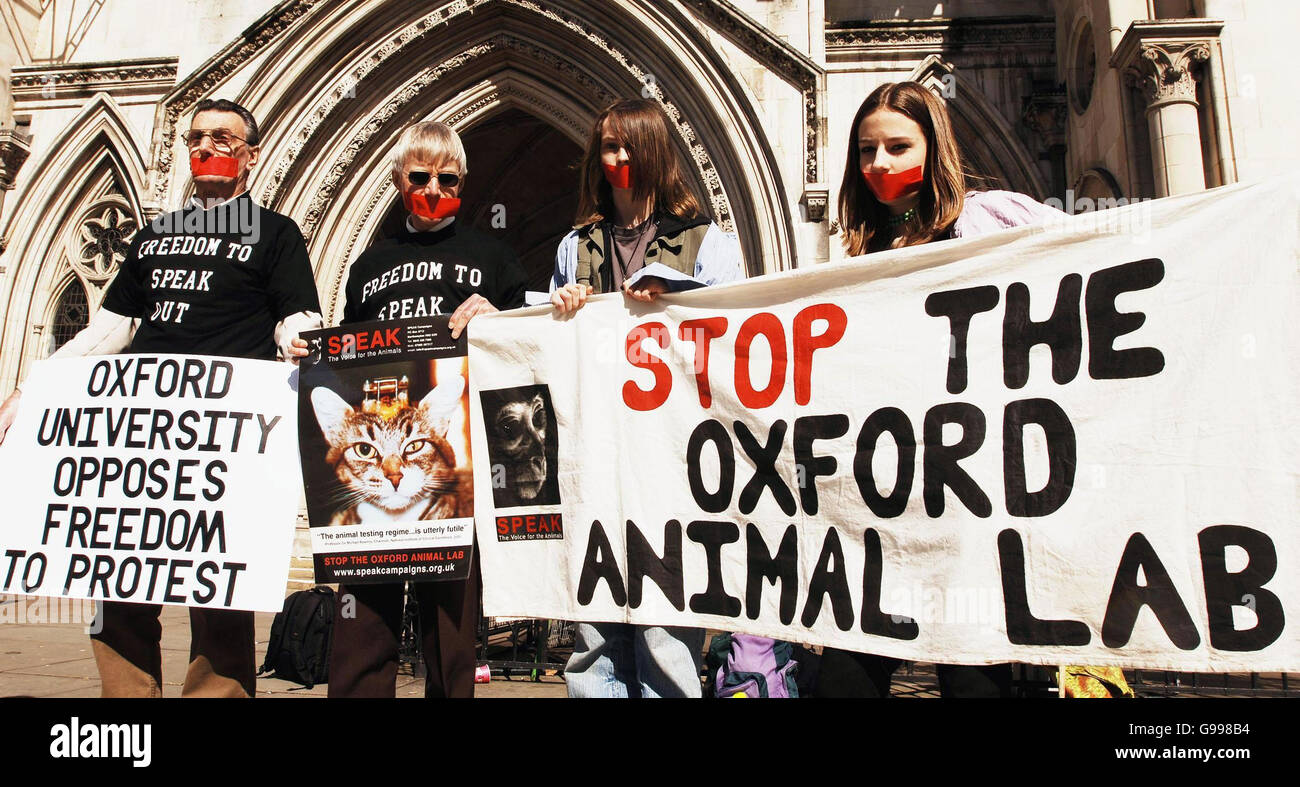 Courts animals hi-res stock photography and images - Alamy