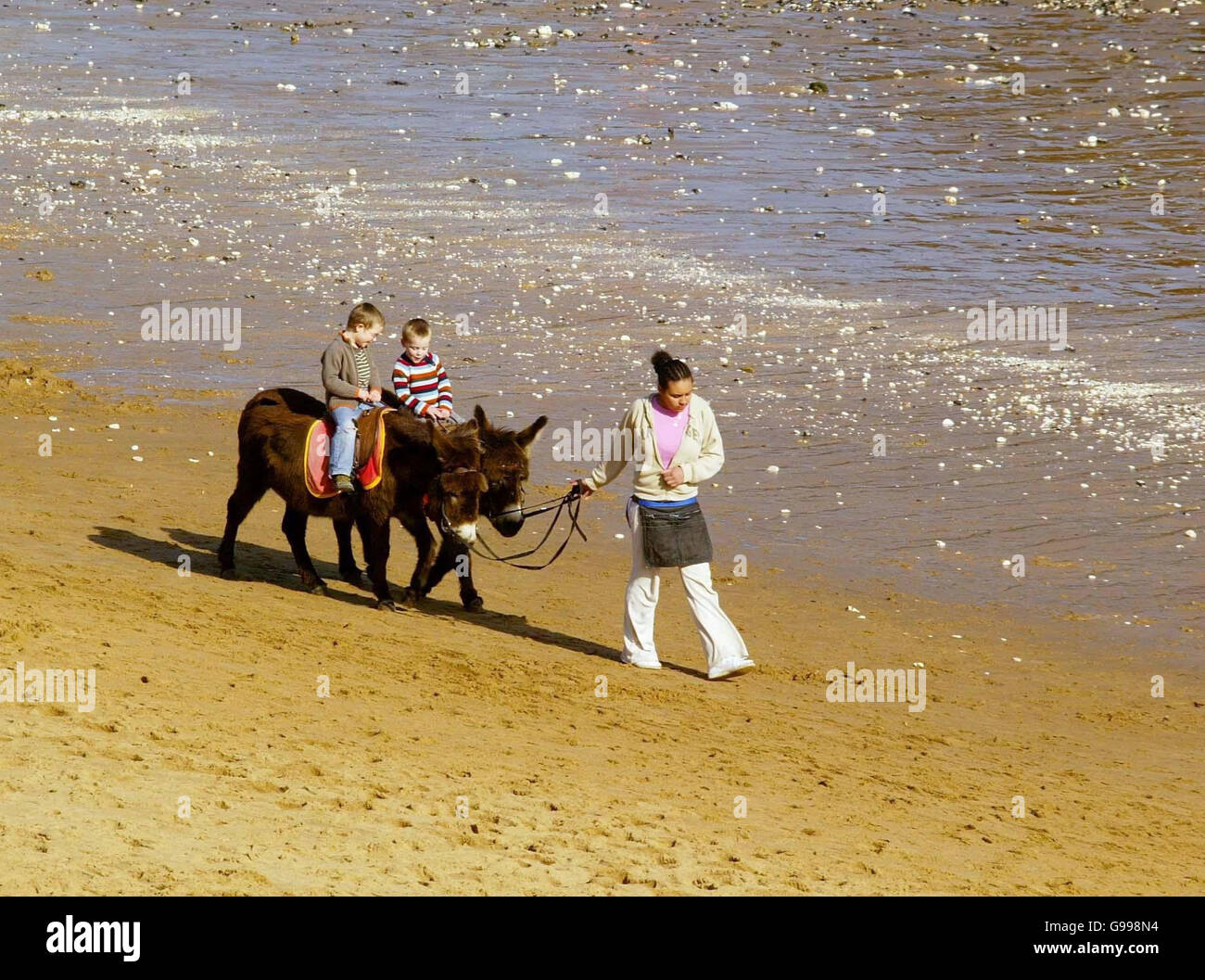 Donkey rides take place on Broadstairs beach in Kent, today after ...