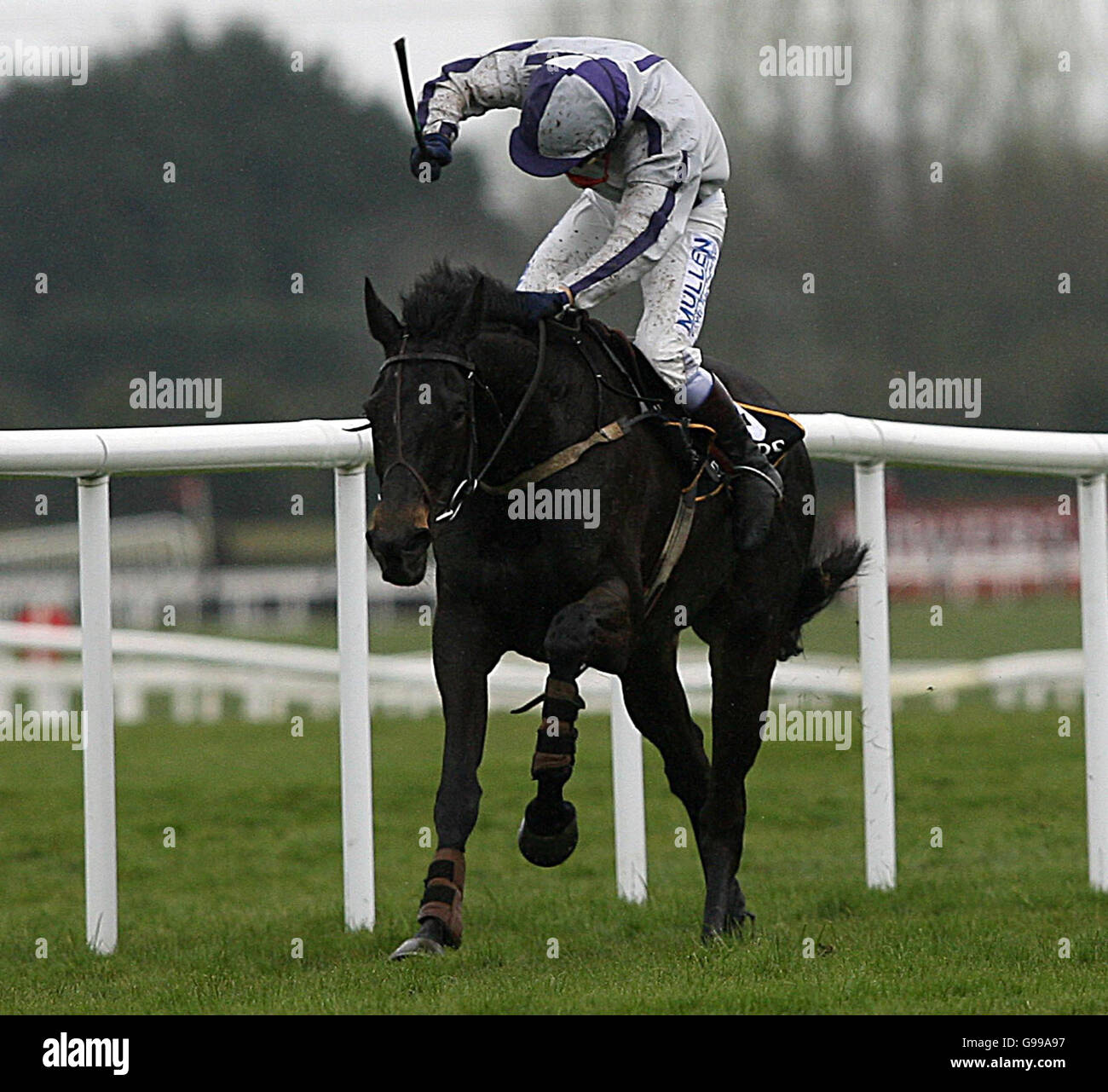 RACING Irish National Stock Photo - Alamy
