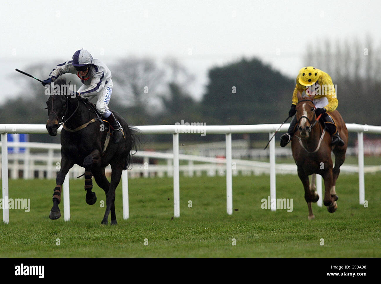 RACING Irish National Stock Photo - Alamy