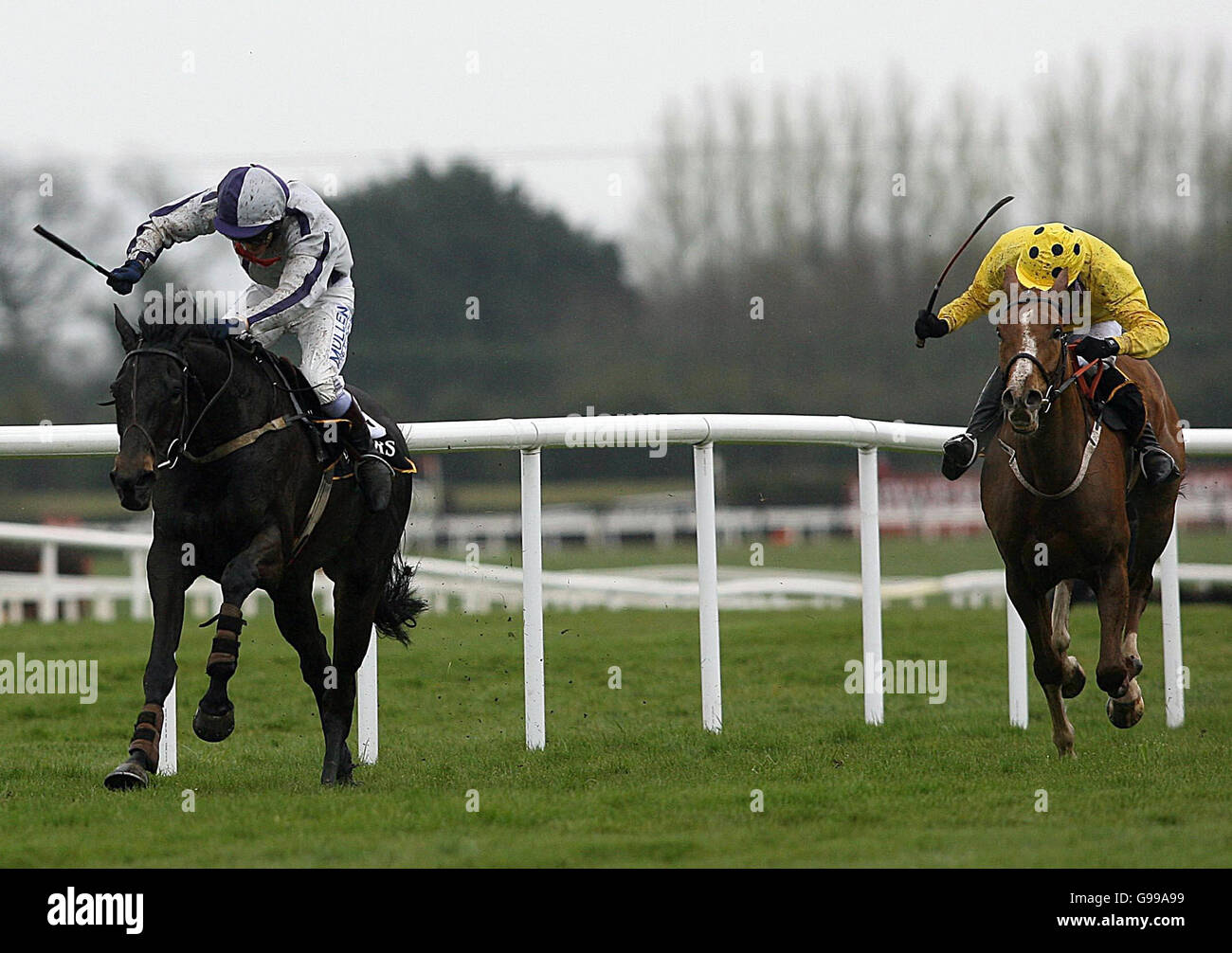 RACING Irish National Stock Photo - Alamy