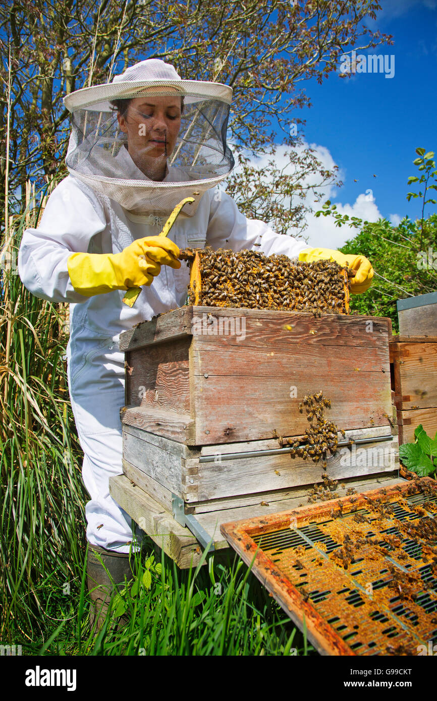 Examen hi-res stock photography and images - Alamy