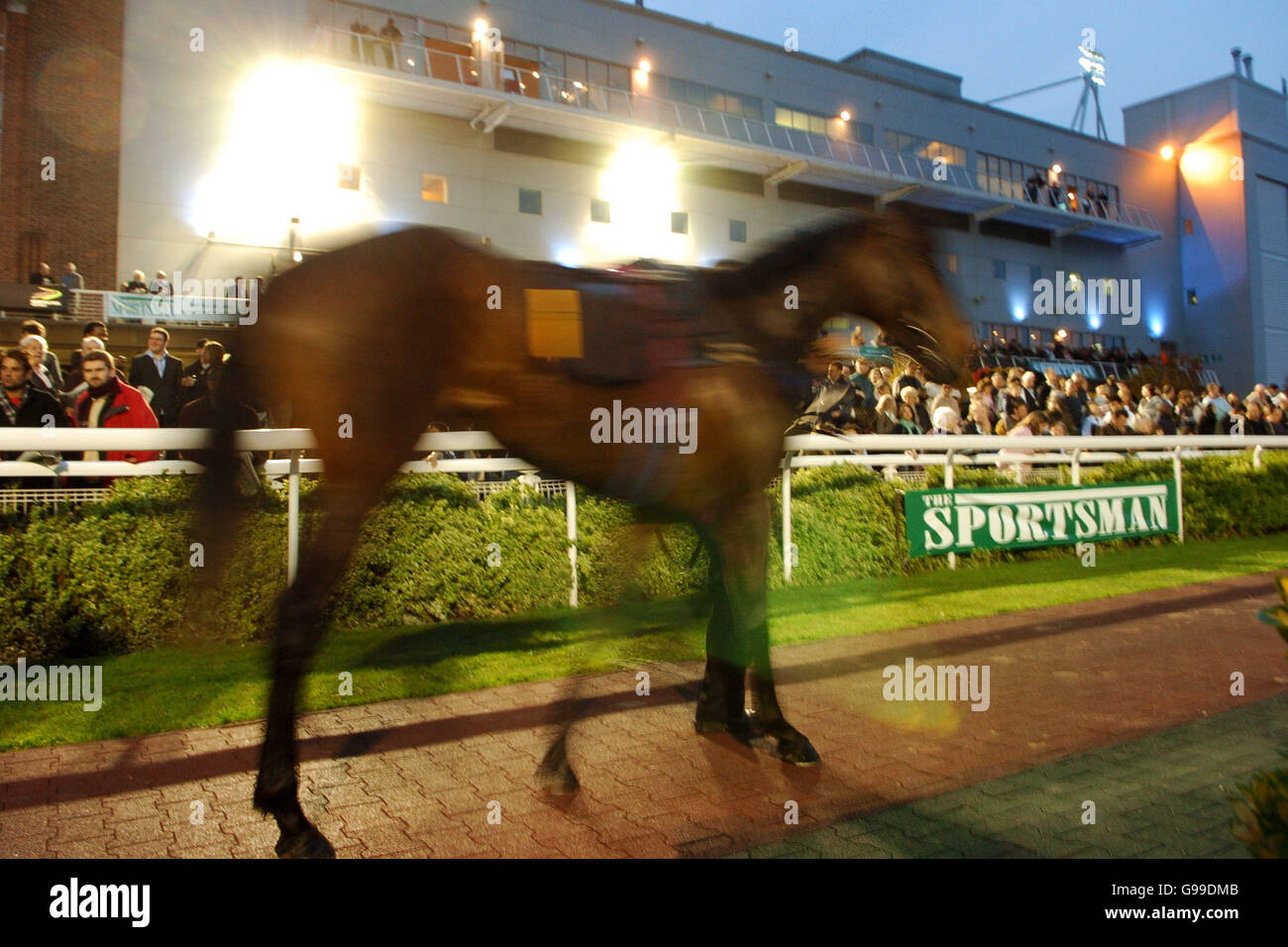 Horse Racing - Kempton Park Racecourse. The Parade Ring Stock Photo - Alamy