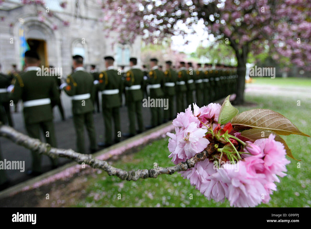 The annual 1916 Easter Commemoration Ceremony mass at Arbour Hill ...