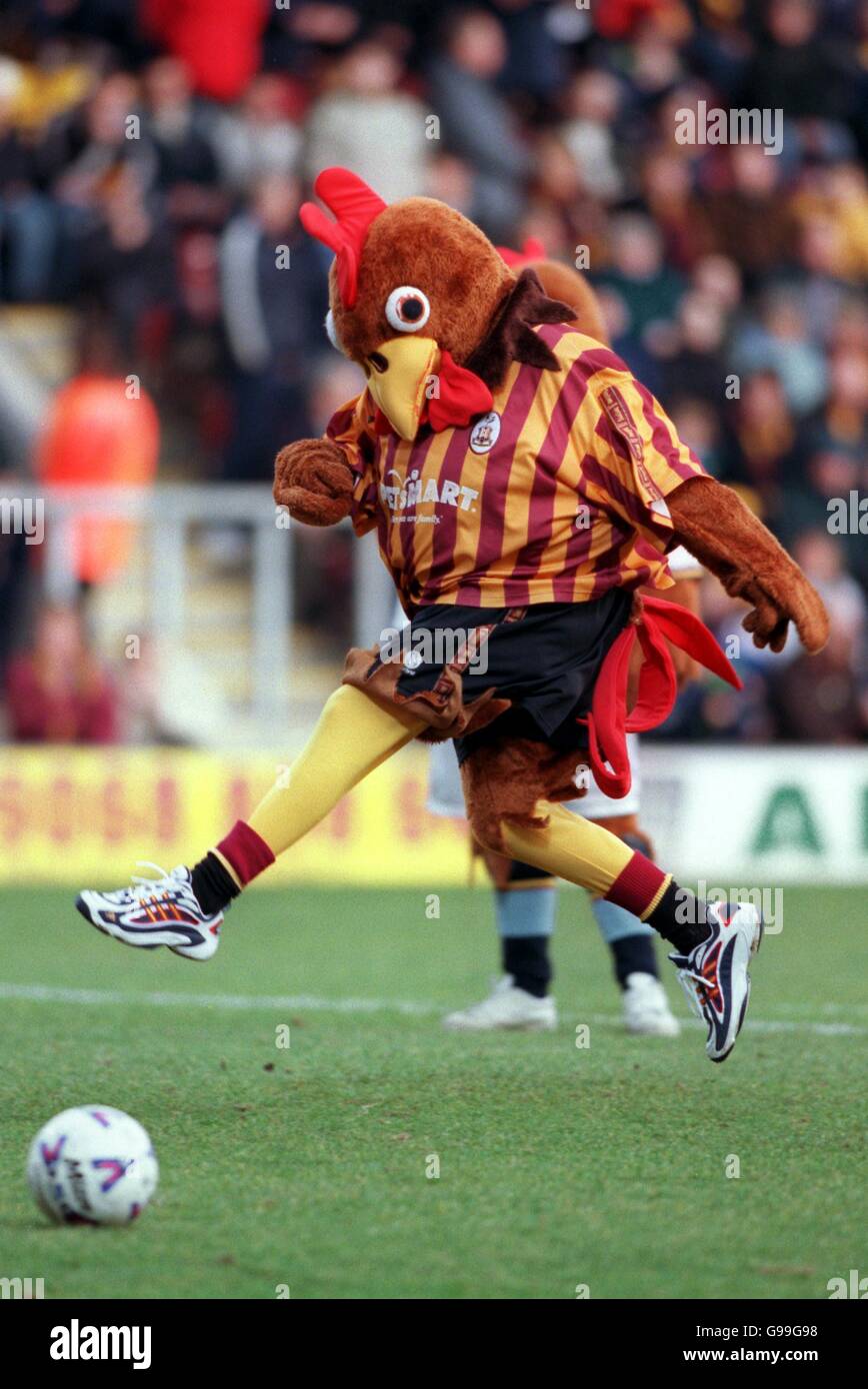 Bradford city mascot billy bantam hi-res stock photography and images ...