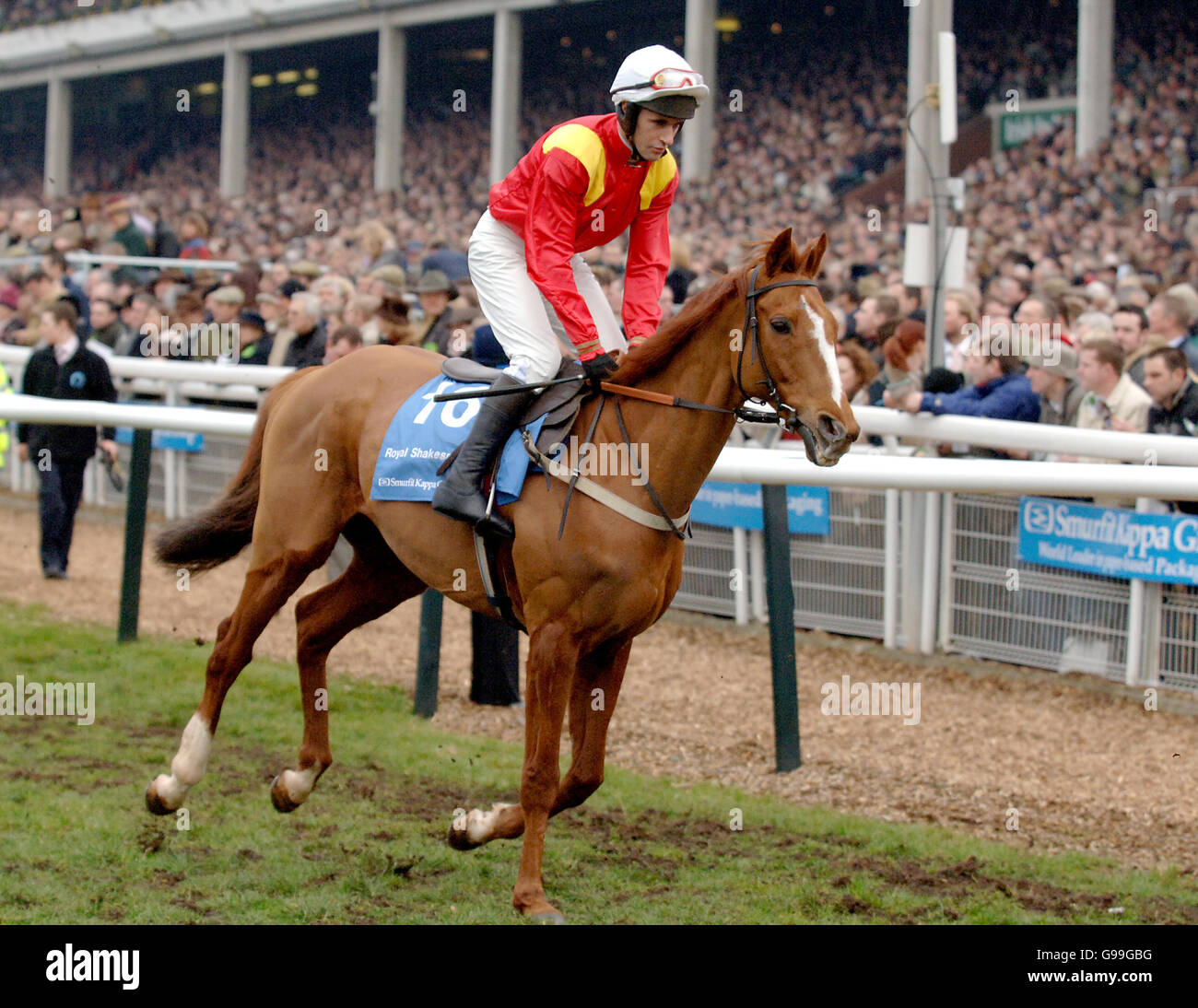 RACING Cheltenham. The French Furze, ridden by Brian Harding Stock ...
