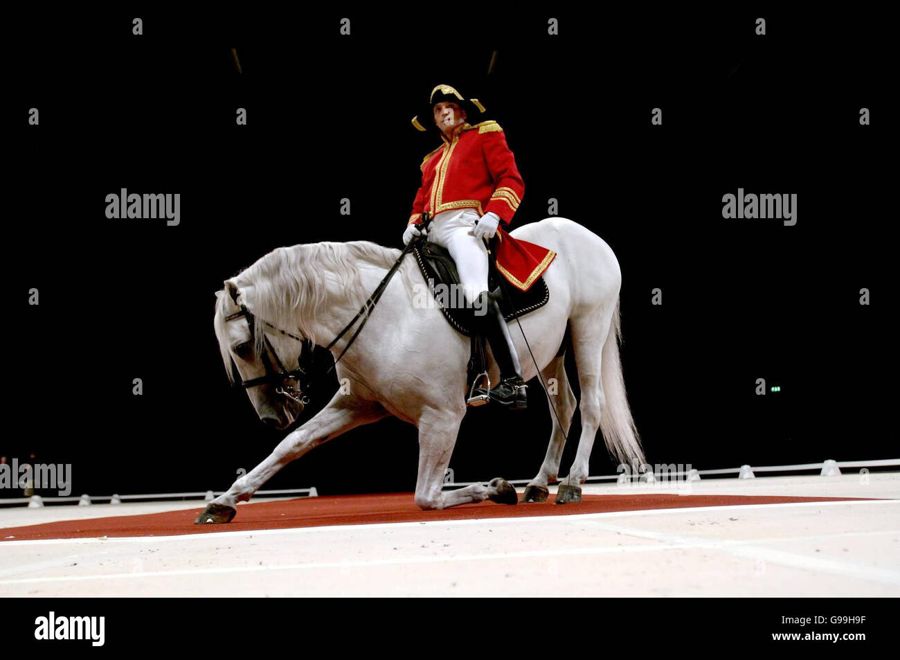 Lipizzaner Stallion Conversano Belladonna and rider Redha Gharsa ...