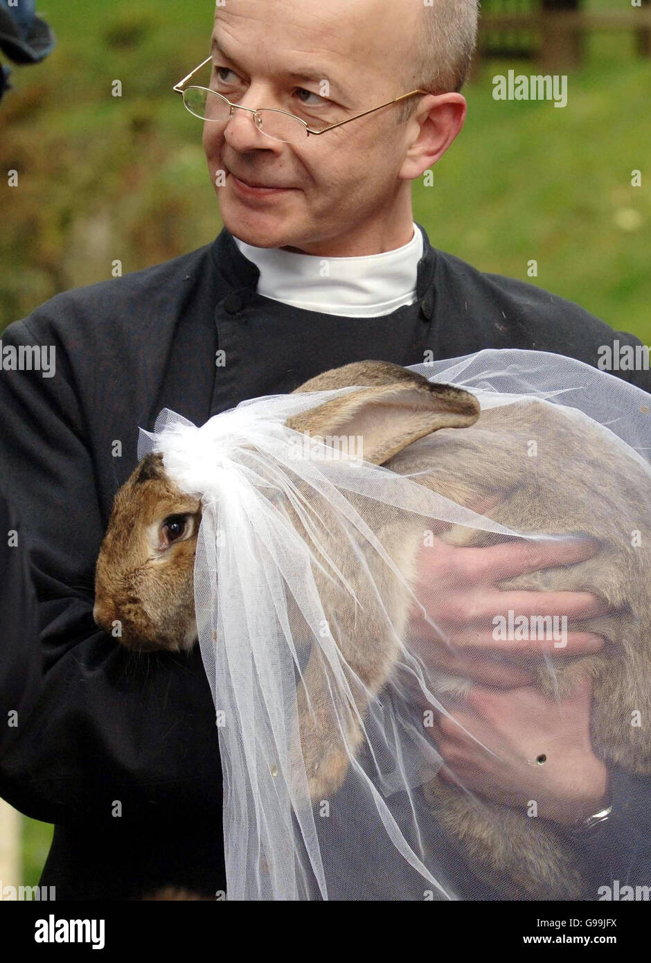 "Father" Andrew Hill with giant rabbit Amy at Wookey Hole, Somerset ...