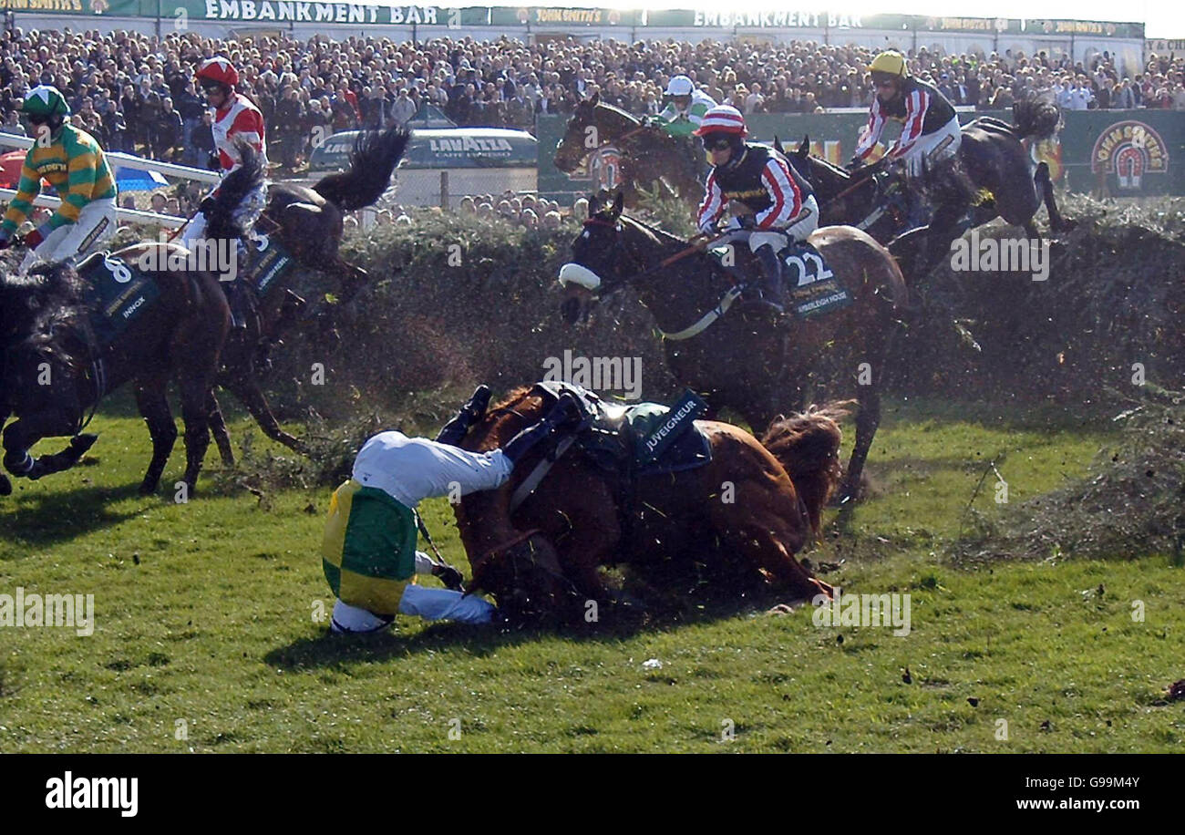 Aintree hli hi-res stock photography and images - Alamy