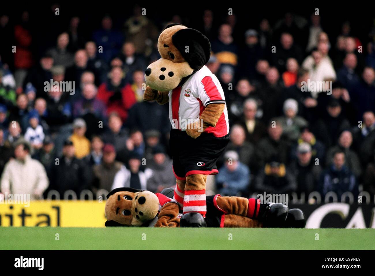 The Southampton mascots, Super Saint and Sammy Saint, play fight before ...