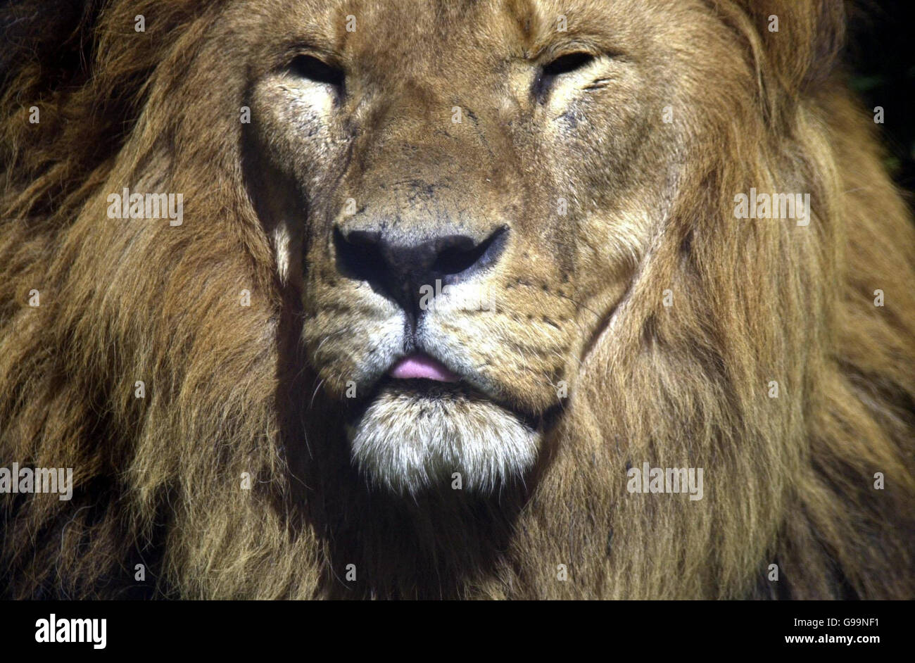 News science animals hi-res stock photography and images - Alamy