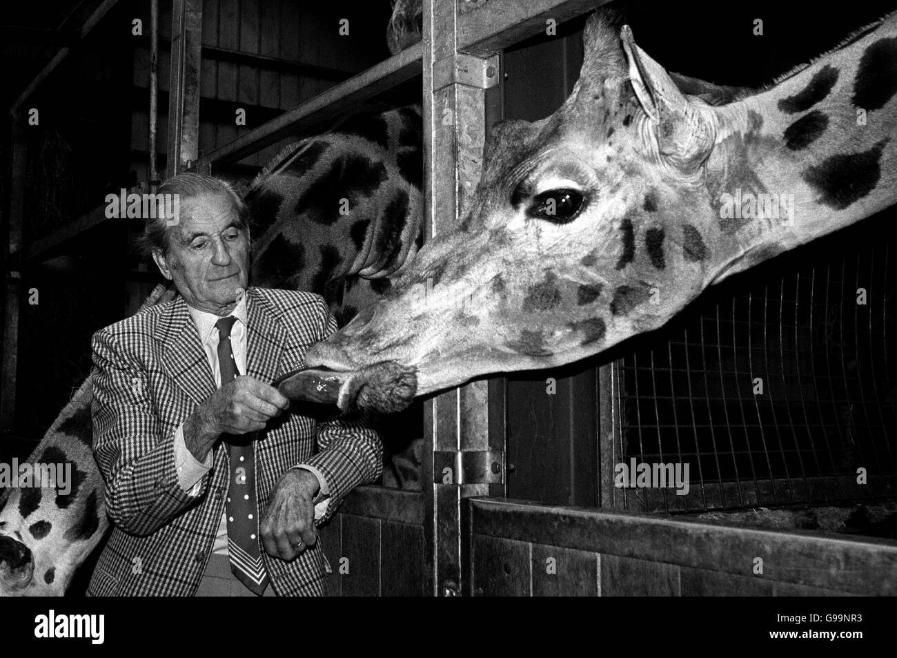 Safari park longleat Black and White Stock Photos & Images - Alamy