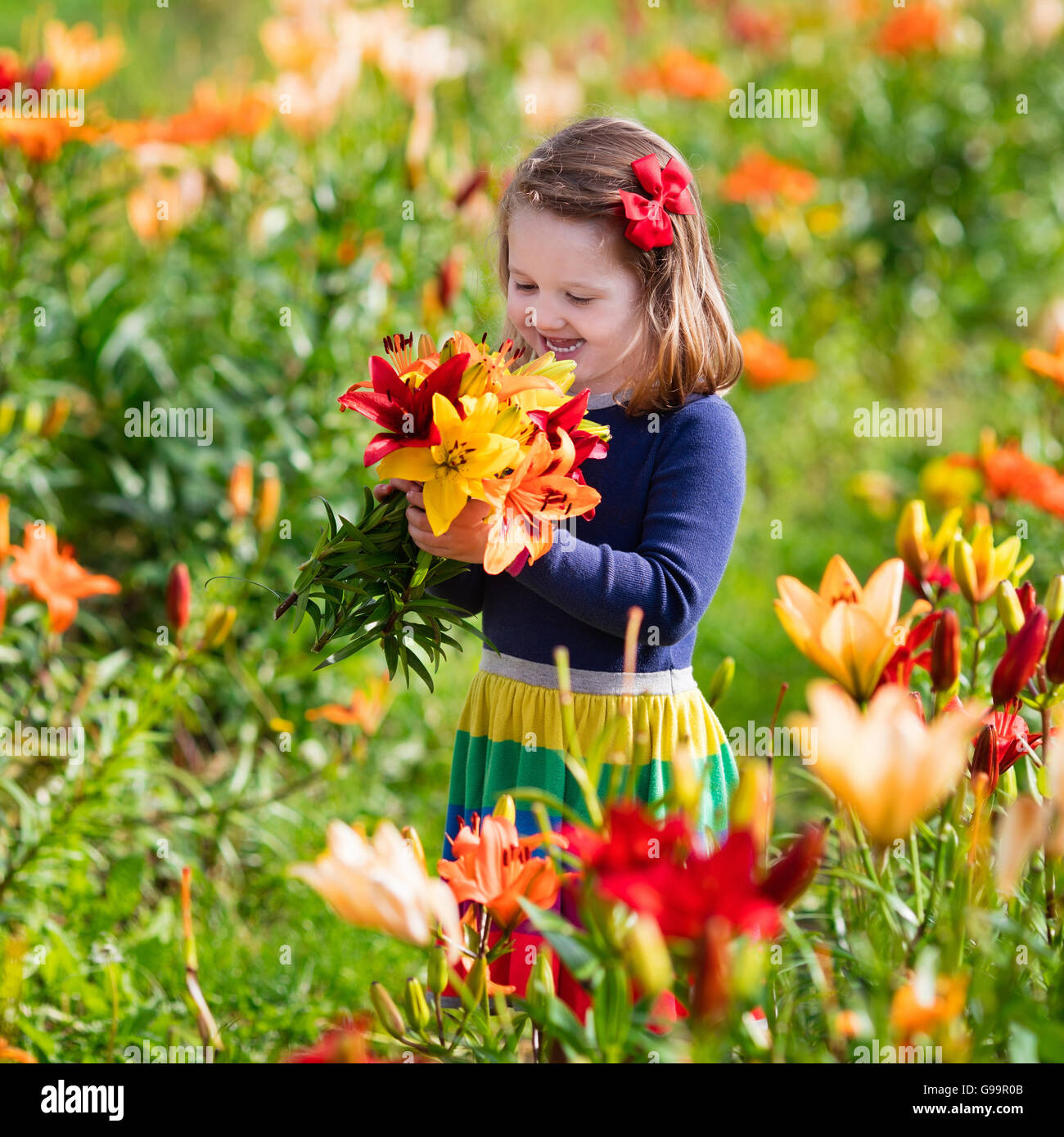 Cute little girl picking lily flowers in blooming summer garden. Child ...