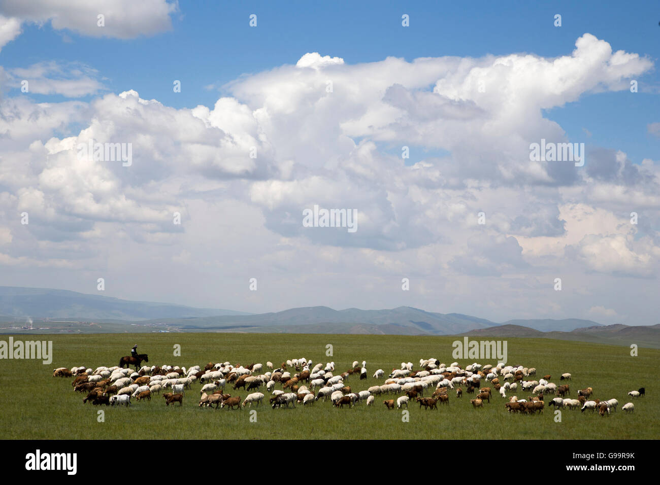 Day view of Autumn scene at steppe lands Mongolia Stock Photo - Alamy