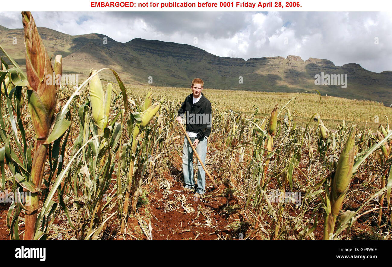 Prince harry uses hi-res stock photography and images - Alamy