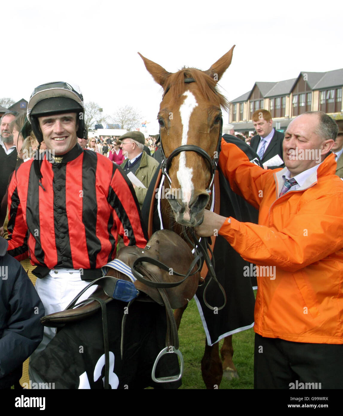 Ruby walsh champion jockey hi-res stock photography and images - Alamy