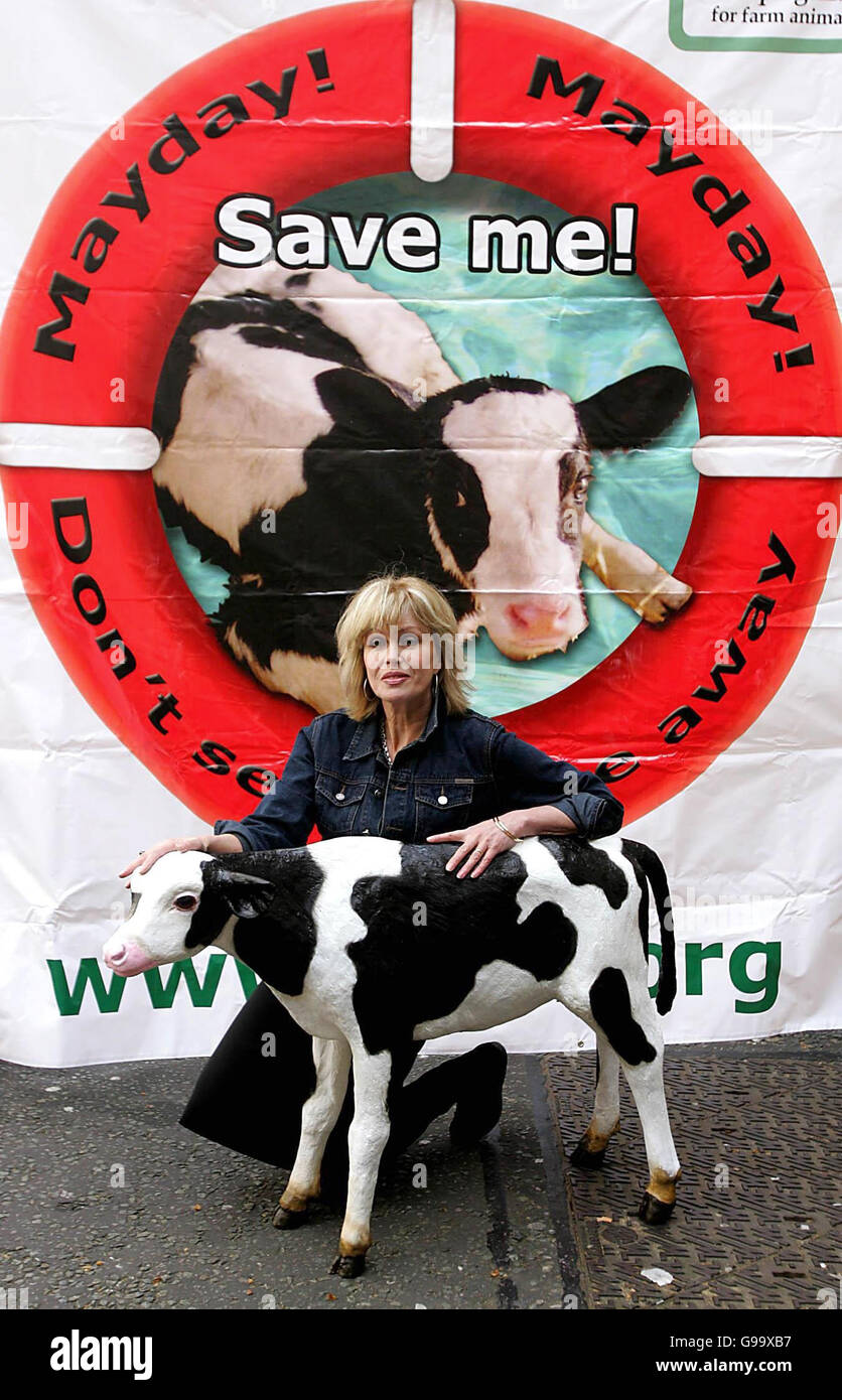 Actress Joanna Lumley kneels with a plastic cow outside the Defra ...