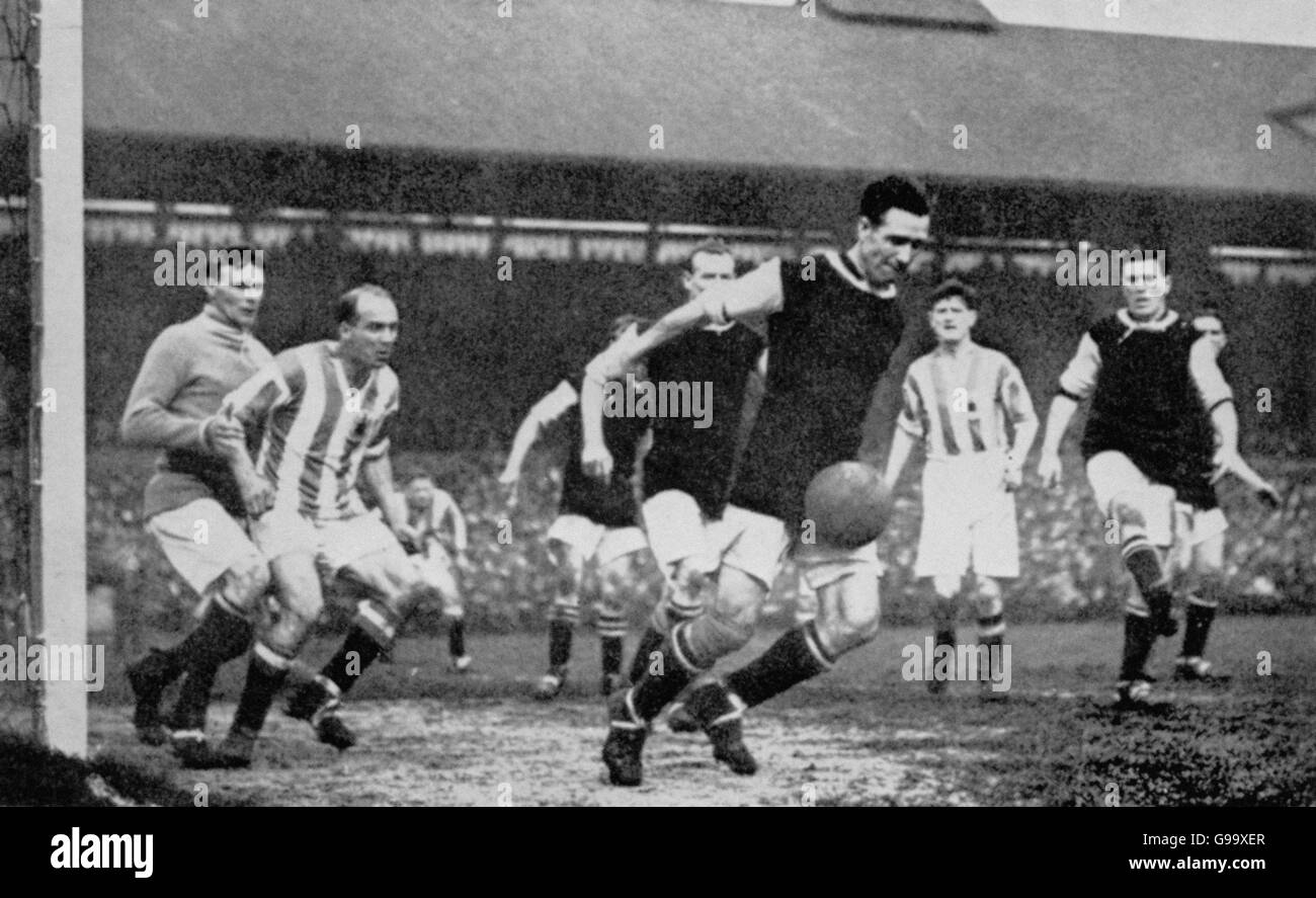 Hardy cup Black and White Stock Photos & Images - Alamy