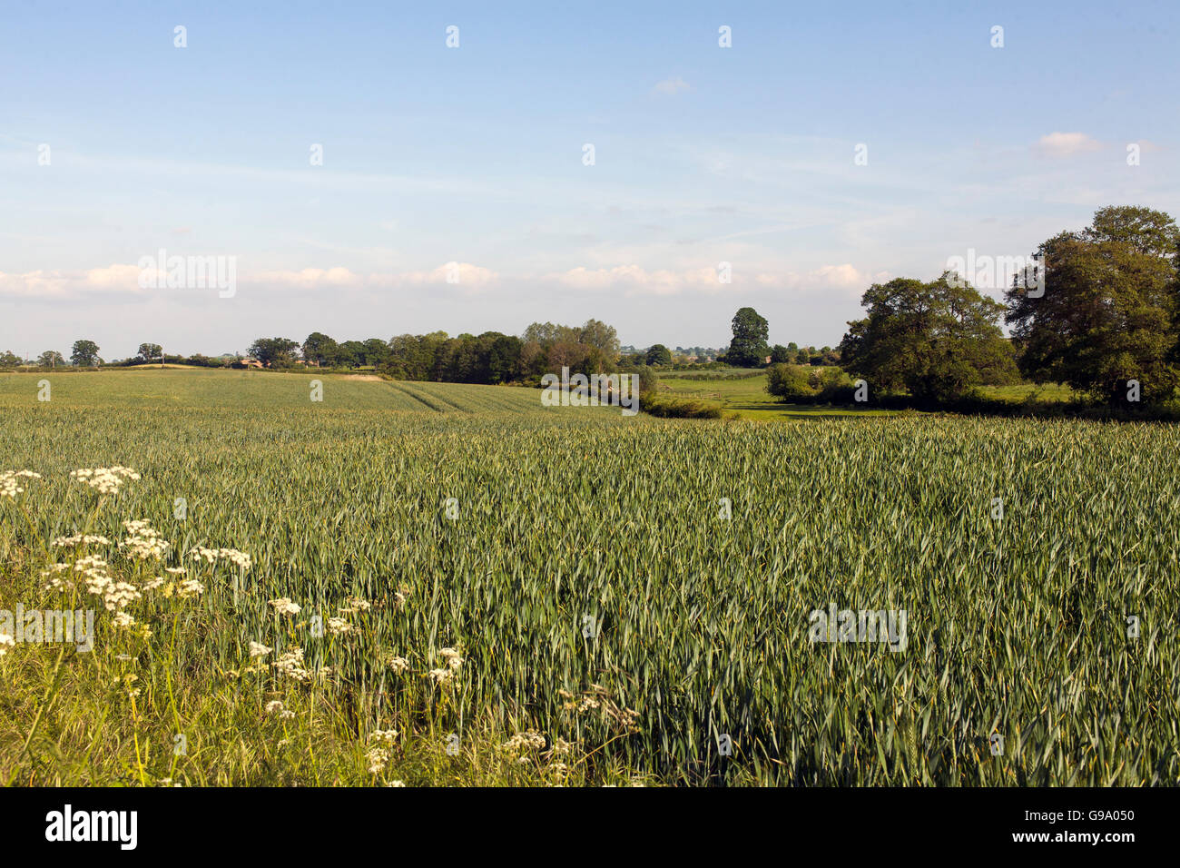 Typical english countryside hi-res stock photography and images - Alamy