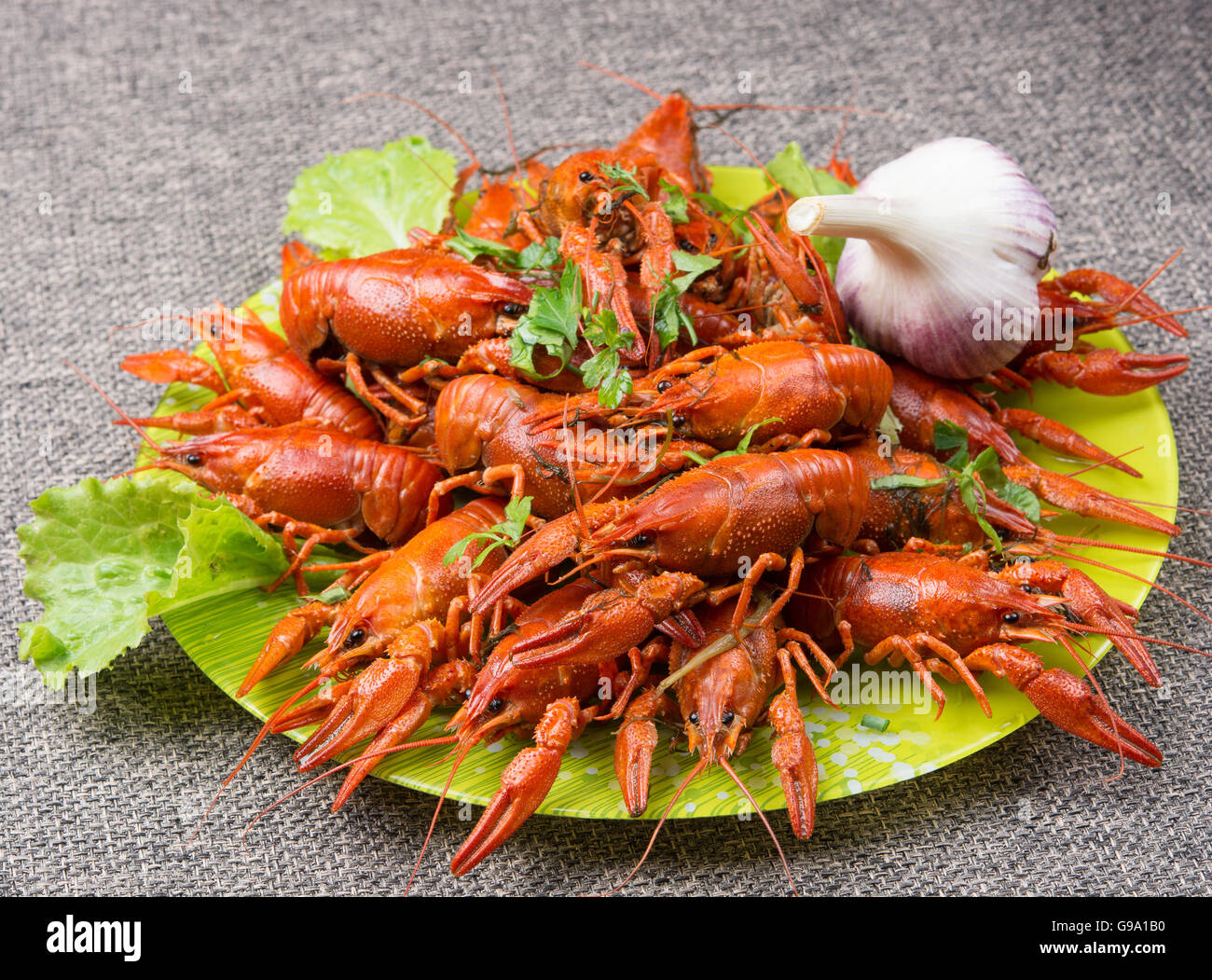 Red crayfish hi-res stock photography and images - Alamy