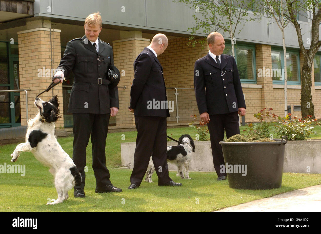 Police Commendation High Resolution Stock Photography and Images - Alamy
